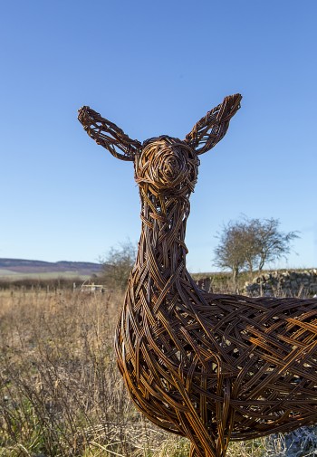 Willow Roe Deer at Biteabout Arts